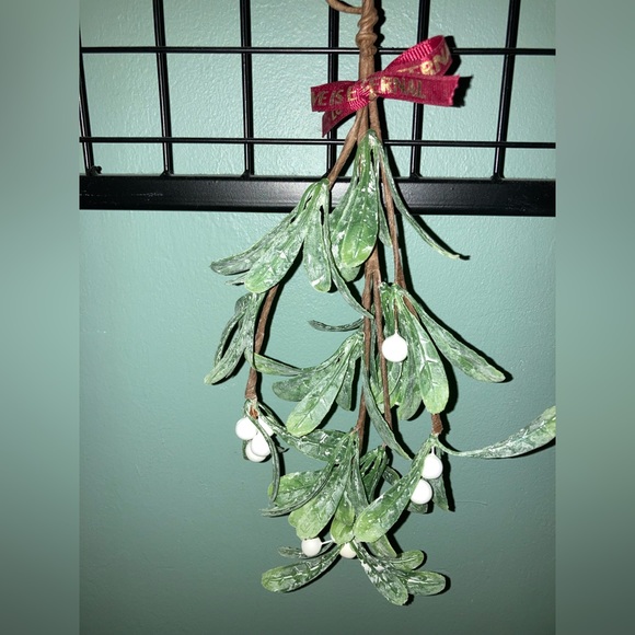 None | Holiday | Frosted Mistletoe | Poshmark